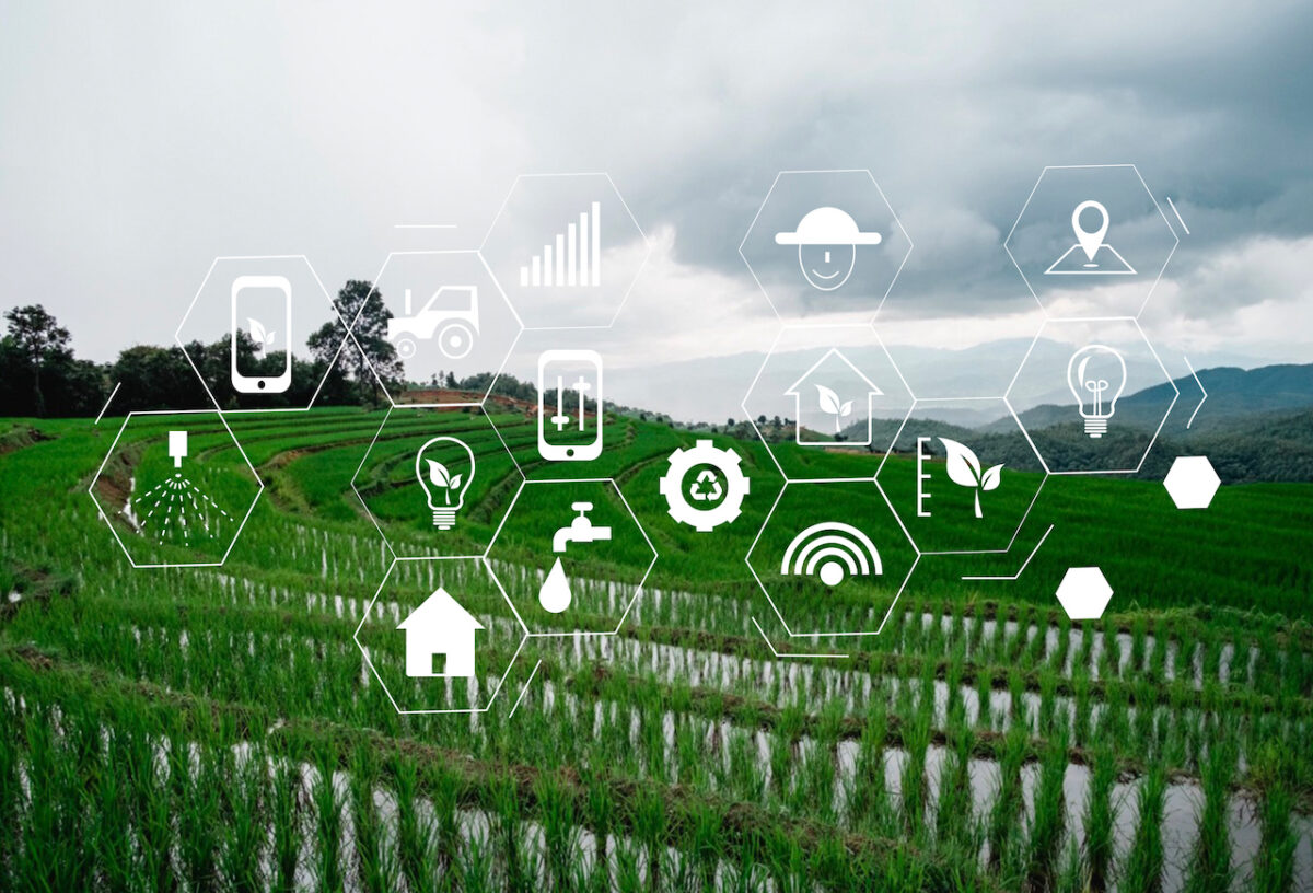 Top 7 Agritech Innovations That Will Shape Nigerian Farming