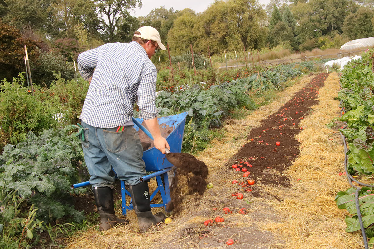 What Is The Most Important Thing In Farming? Let's Break It Down ...