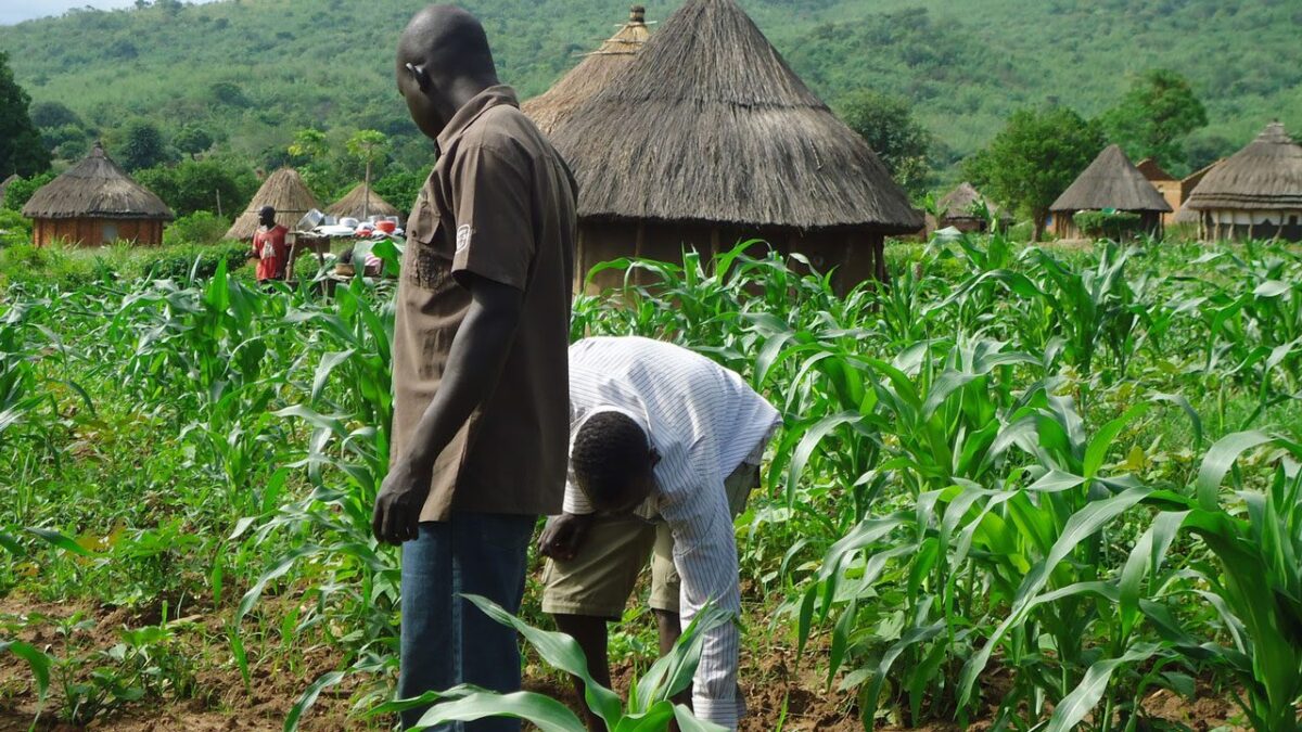 How To Get A Bank Of Agriculture (BOA) Loan In 2025 – Step-by-Step ...