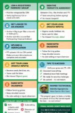 How To Apply For CBN Anchor Borrowers’ Programme (ABP) 2025